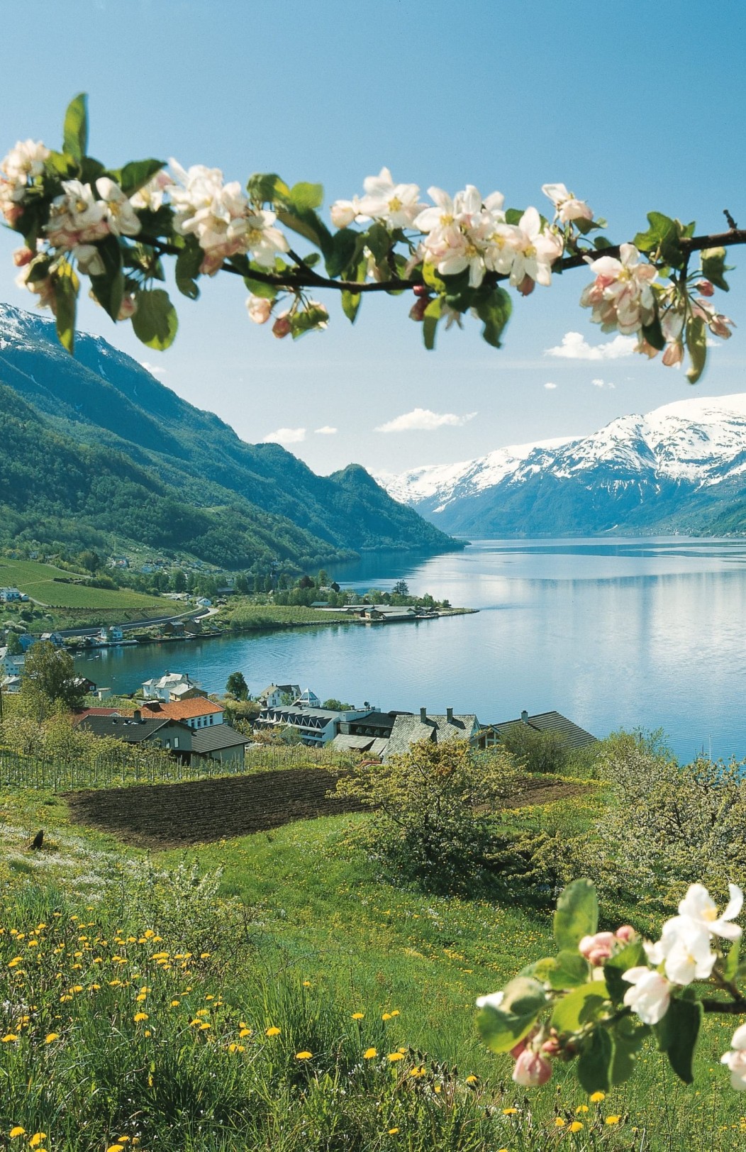 Authentic Scandinavia - Specialist in tours to Scandinavia