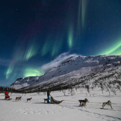 Northern Lights Dog Sledding & Ice Dome Visit in Tromsø / Authentic ...