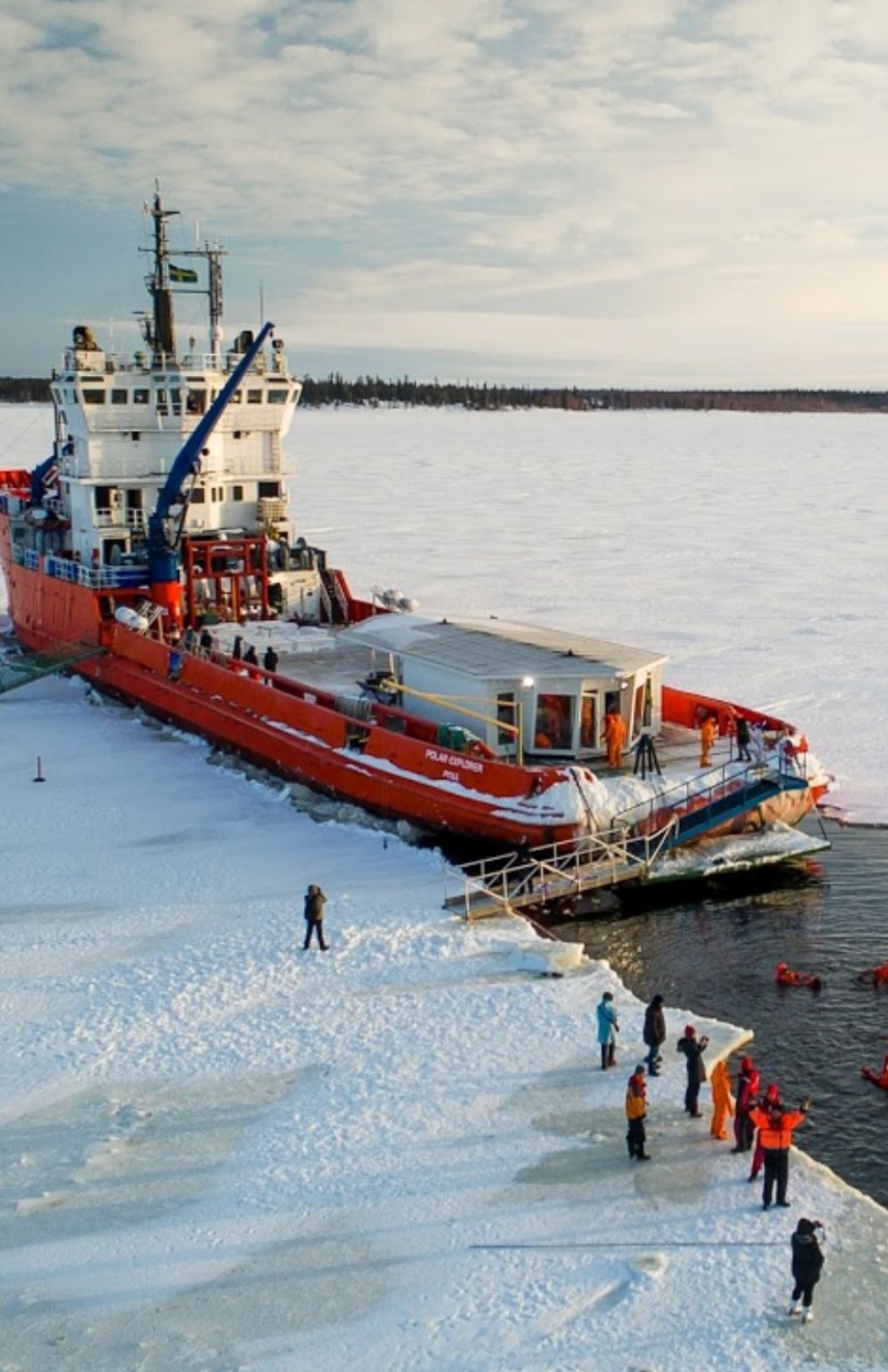 Arctic TreeHouse & Northern Lights Break / Authentic Scandinavia