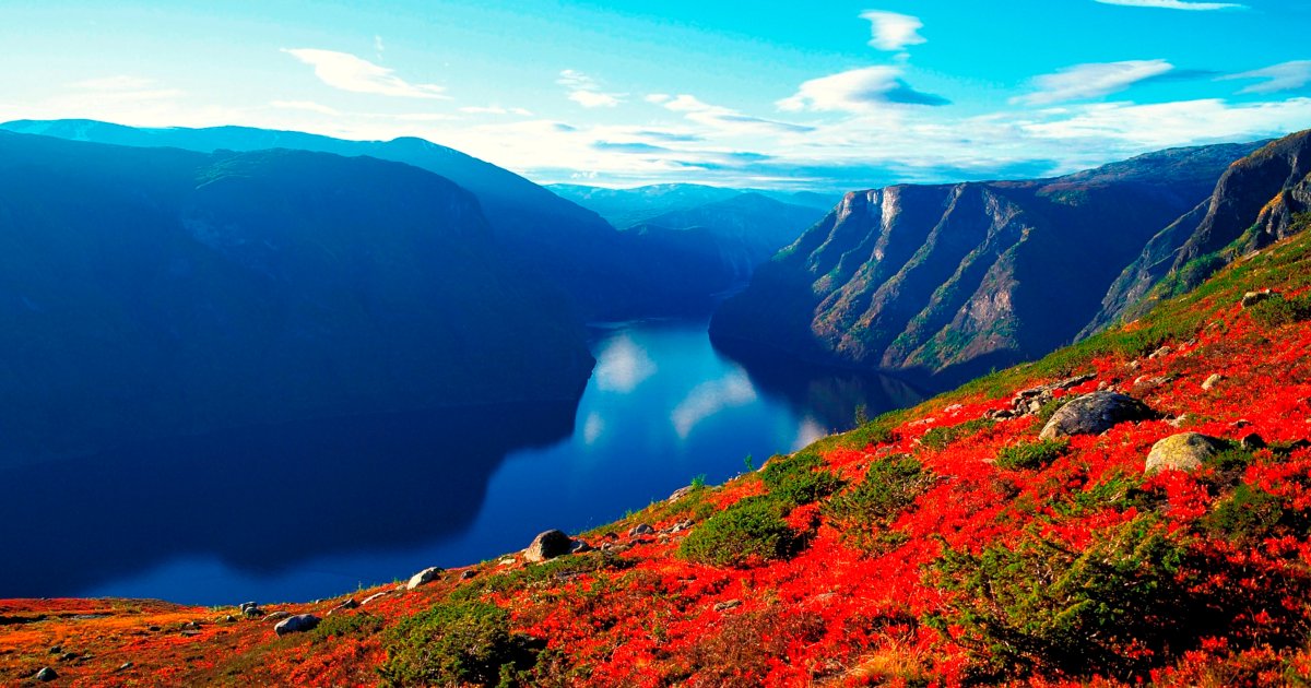 Norway Tours / Authentic Scandinavia