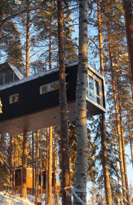 Arctic TreeHouse & Northern Lights Break / Authentic Scandinavia