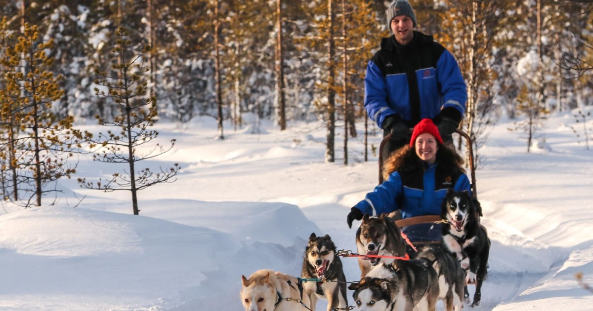 Dog sledding 10 km from Vaattunki / Authentic Scandinavia