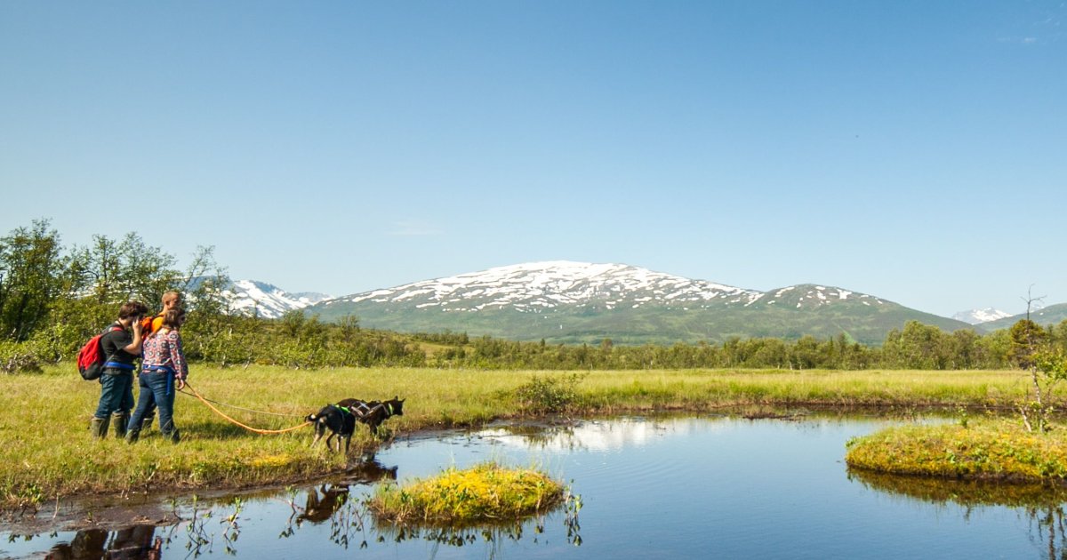 Husky Hike in Tromsø / Authentic Scandinavia