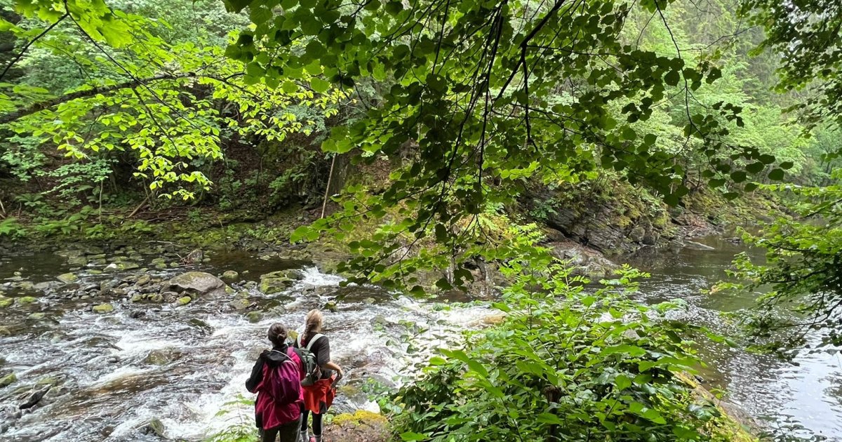 Oslo Wild River Walk / Authentic Scandinavia