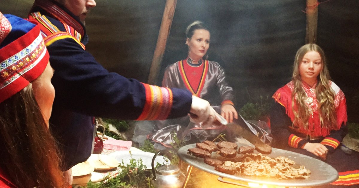 Sami culture & Arctic Circle Visit - Treehotel Activity / Authentic ...