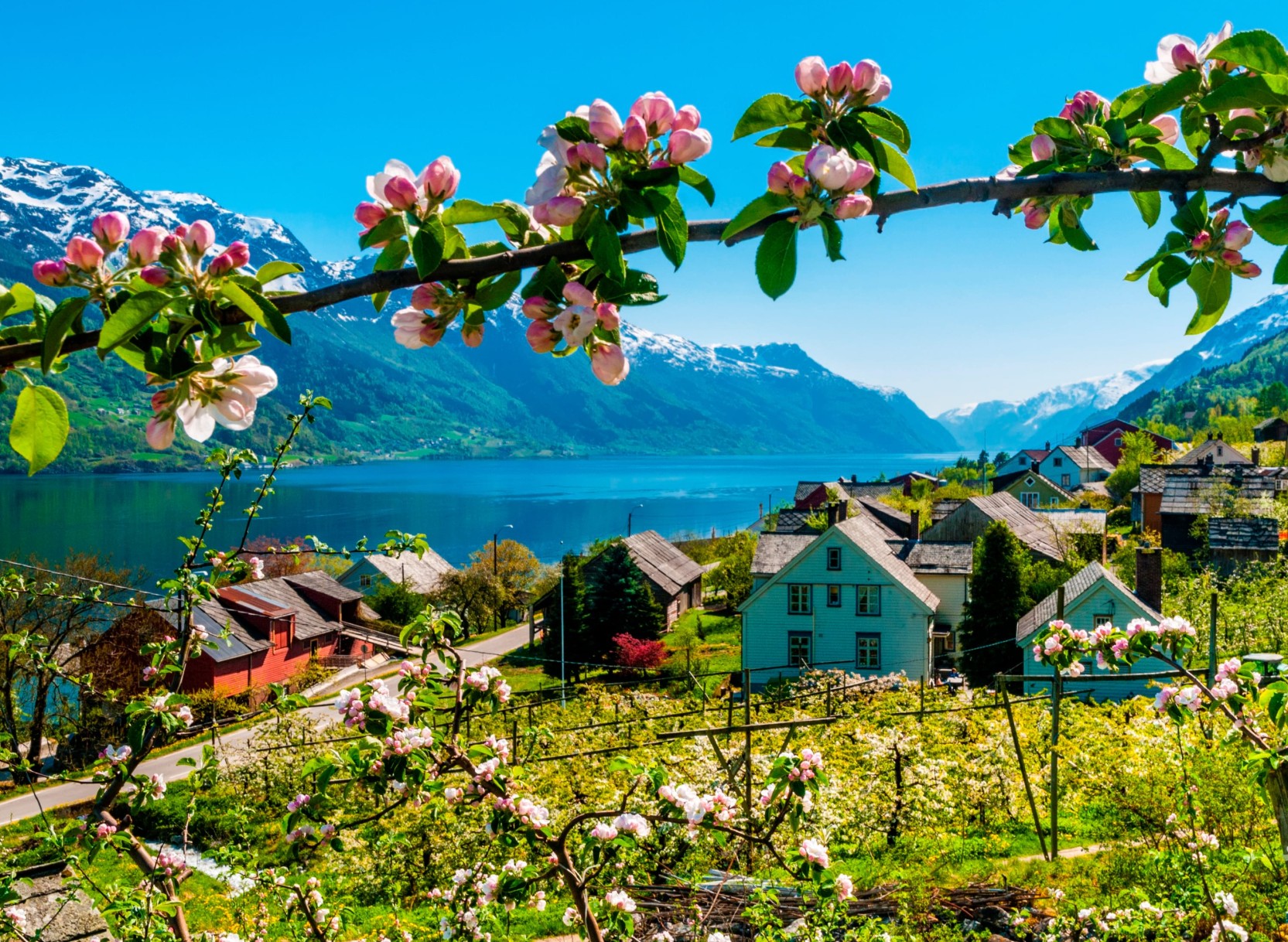 Embrace the Magic of Norway in Spring / Authentic Scandinavia