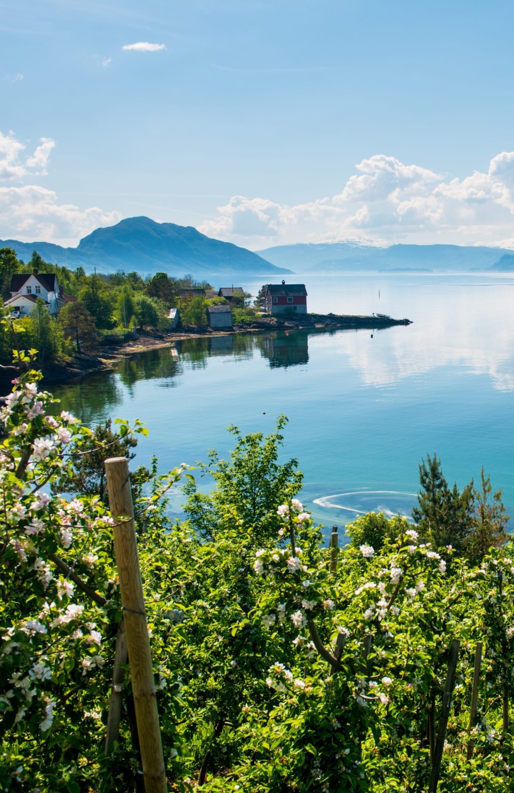 Four Capitals & Fjords from Helsinki / Authentic Scandinavia