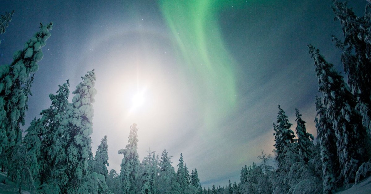 Levi Winter Adventure / Authentic Scandinavia