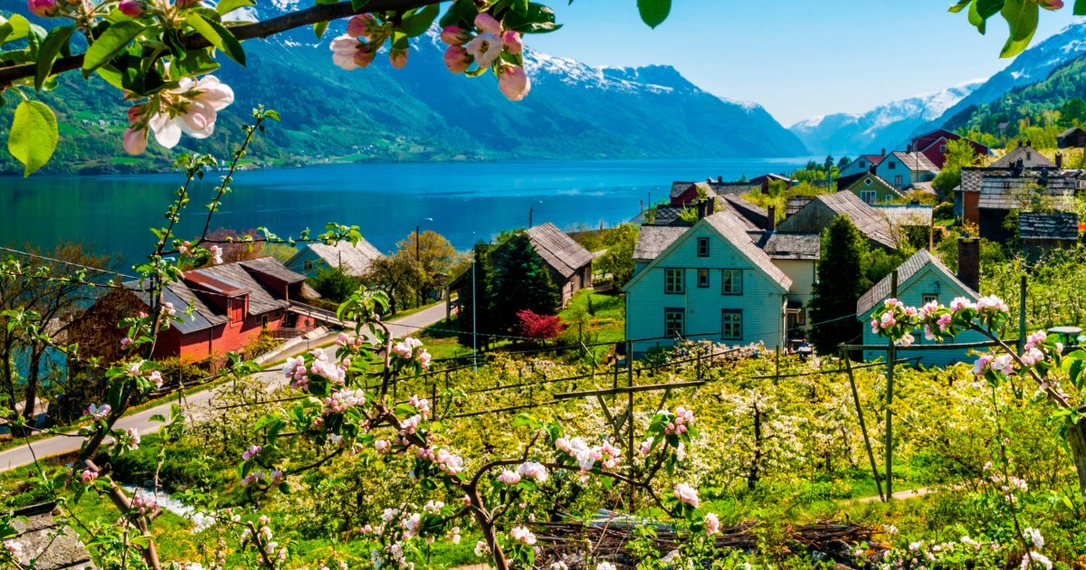 Northern Highlights from Oslo / Authentic Scandinavia