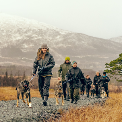 Husky Hike in Tromsø (including transfer) / Authentic Scandinavia