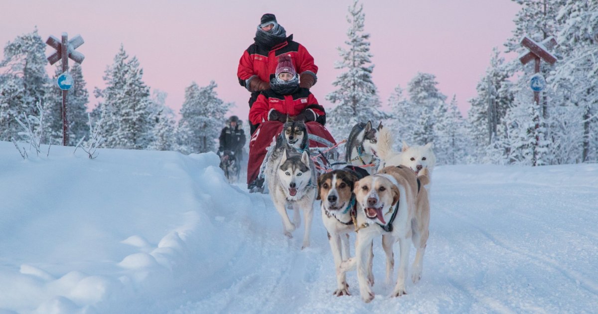 Snowmobile & Dog Sledding Adventure / Authentic Scandinavia