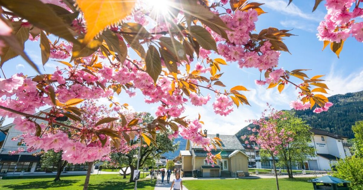 Embrace the Magic of Norway in Spring / Authentic Scandinavia